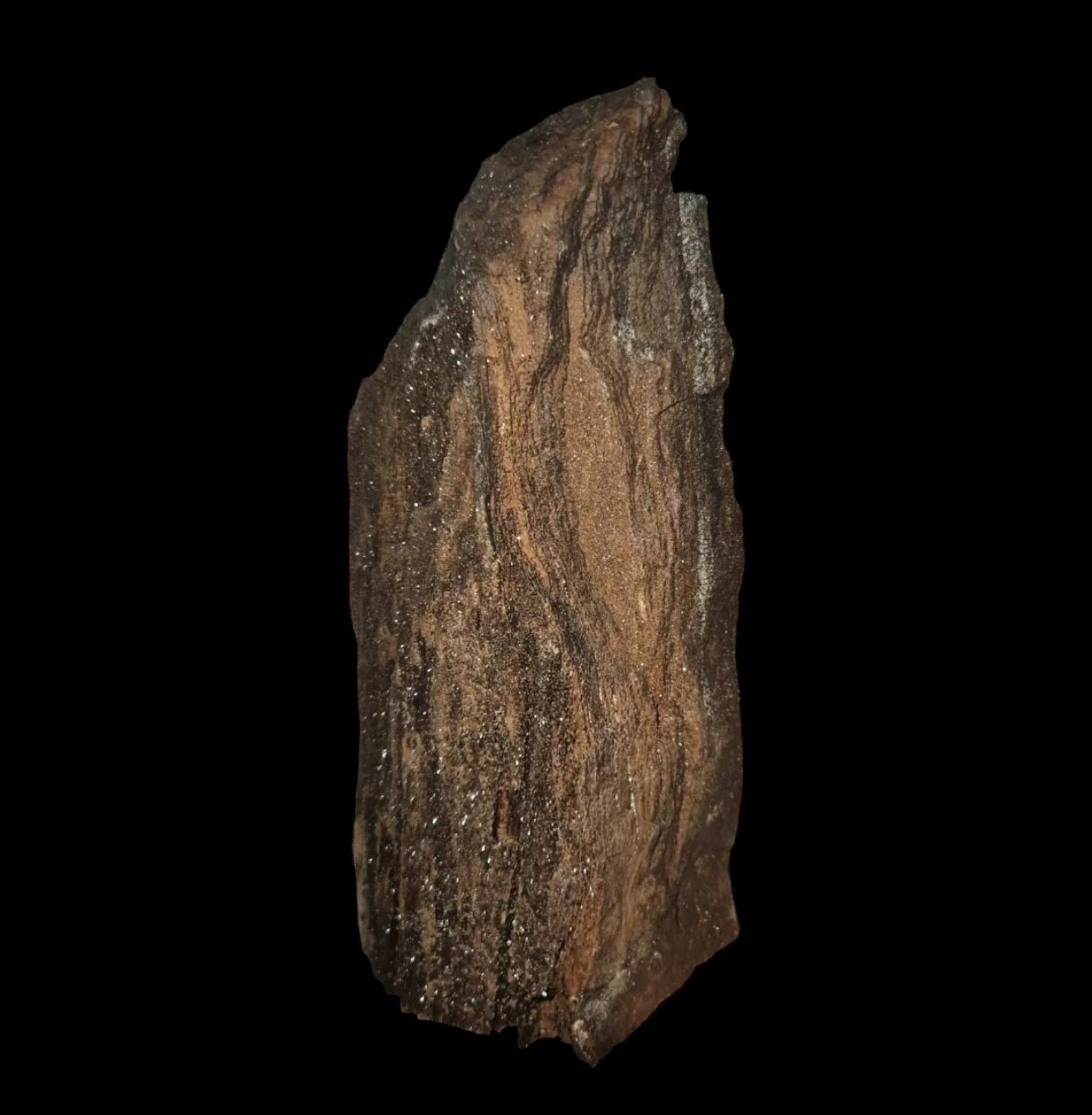 1.7 Kg Giant Sequoia With Quartz Crystals. Petrified Wood Fairywood ...