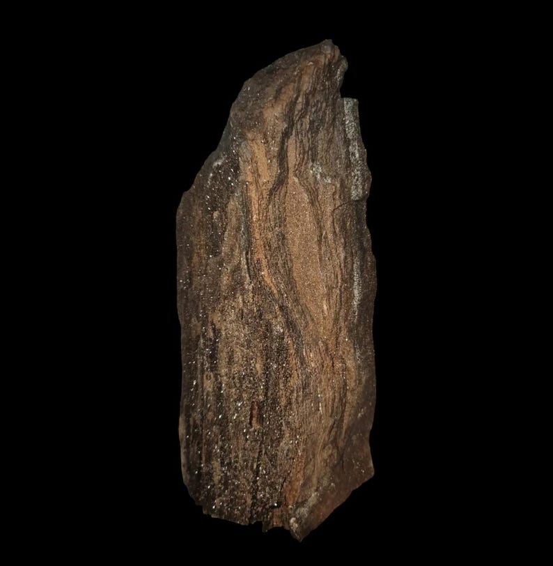 1.7 Kg Giant Sequoia With Quartz Crystals. Petrified Wood Fairywood ...