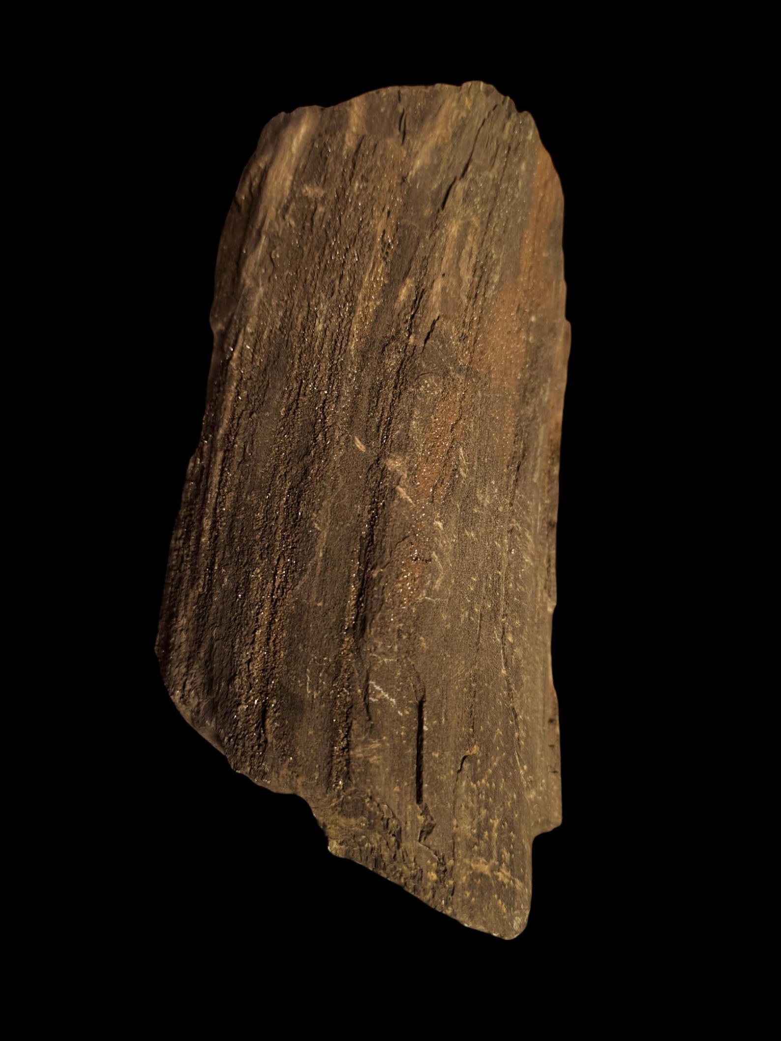 1.7 Kg Giant Sequoia With Quartz Crystals. Petrified Wood Fairywood ...