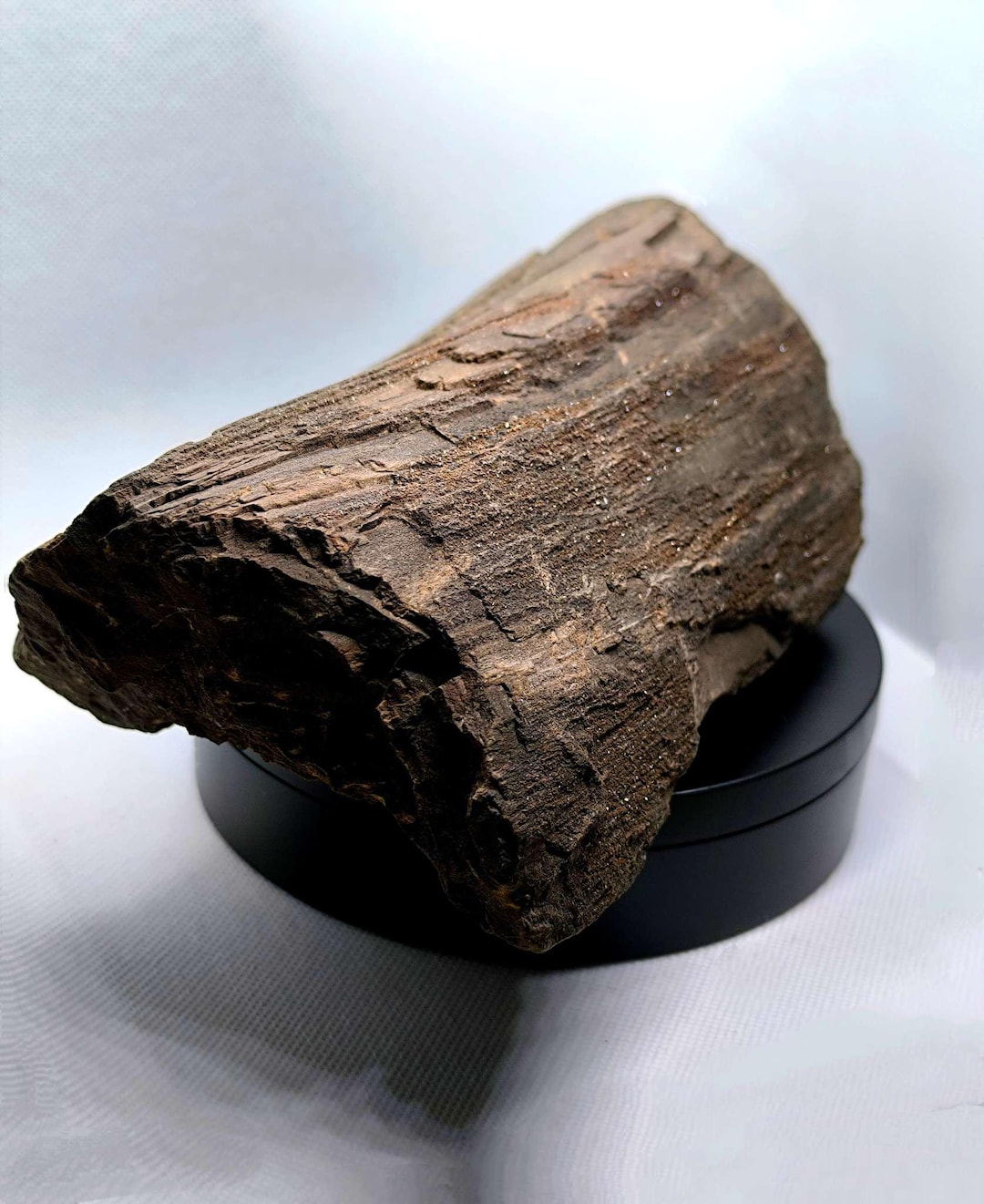 1.7 Kg Giant Sequoia With Quartz Crystals. Petrified Wood Fairywood ...