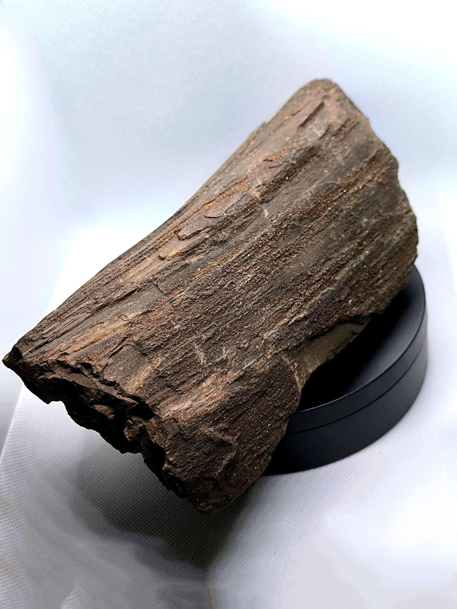 1.7 Kg Giant Sequoia With Quartz Crystals. Petrified Wood Fairywood ...