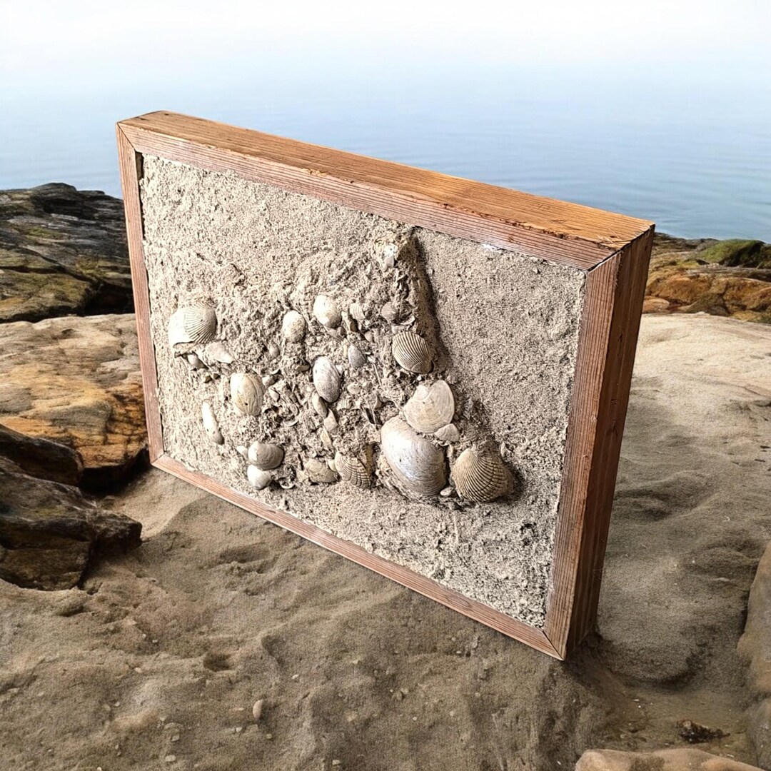 Sea Shell Seabed Fossil Framed - Etsy