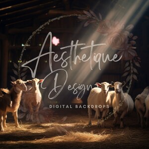 Sheep in a Barn Digital Backdrop Hay Barn Overlay Stable Digital ...