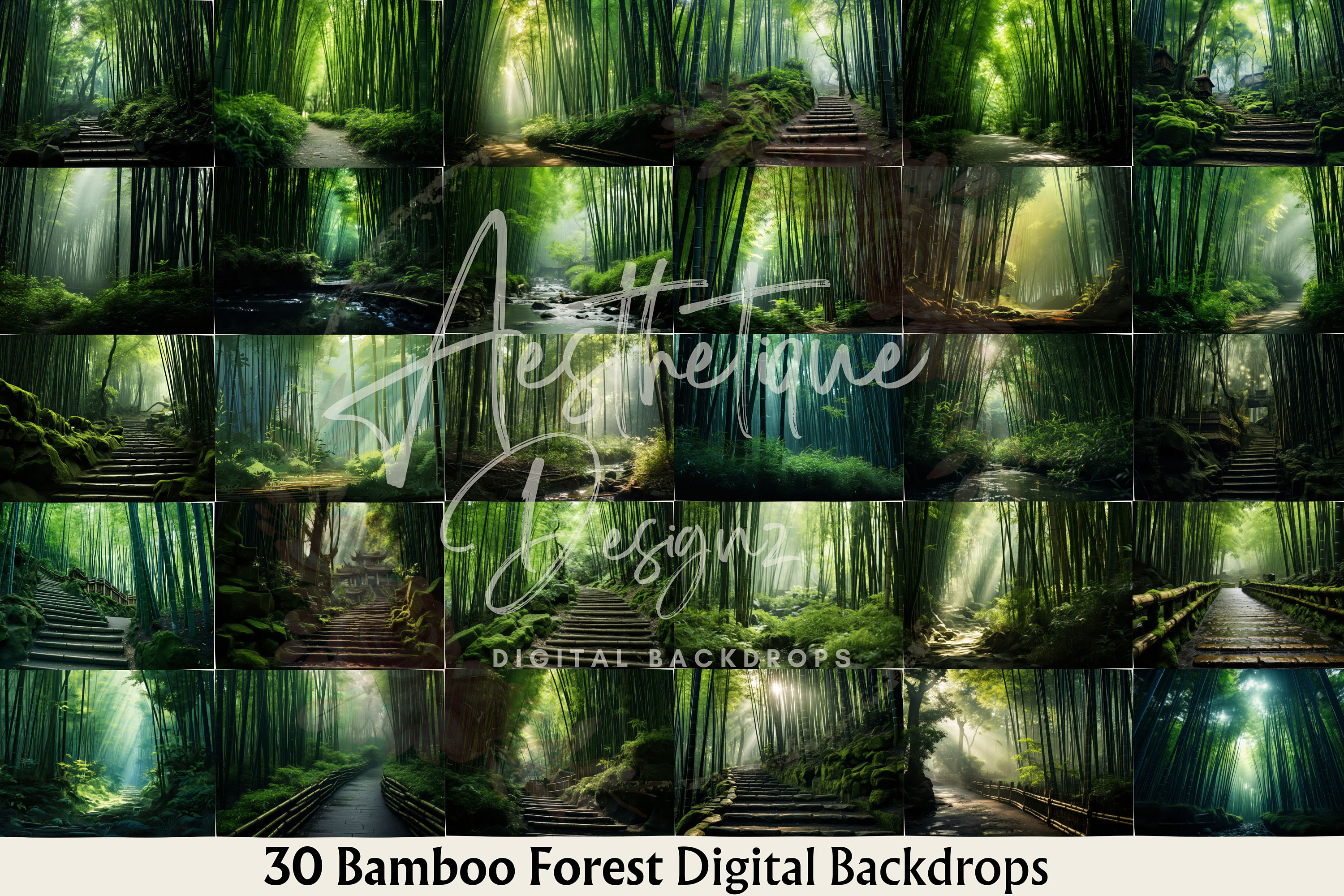 30 Bamboo Forest Digital Backgrounds Nature Photography Backgrounds ...