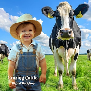 Grazing Cattle Digital Backdrop Farm Animals Background Rolling Hills ...