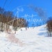 Snowboarding Park Digital Backdrop Chilly Winter Background for Skiing ...