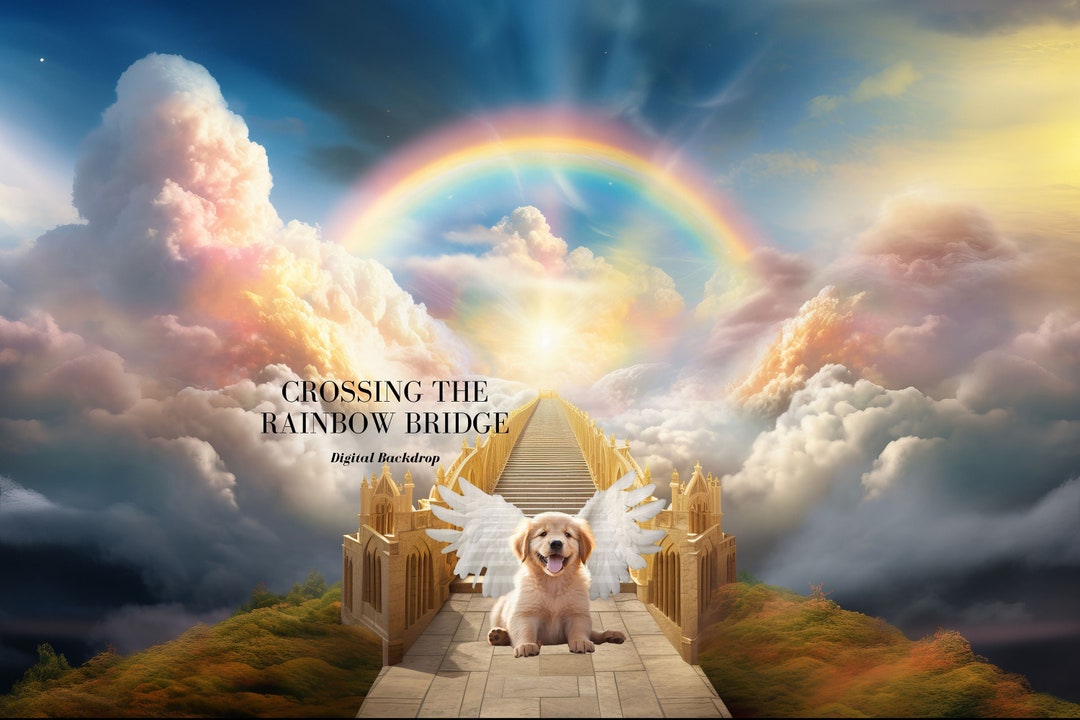 Cross the Rainbow Bridge Digital Backdrop Way to Heaven Photography ...