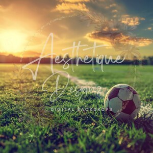 Soccer Field Digital Backdrop for Professional Soccer Player Composite ...