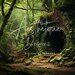 Forest Chamber Entrance Digital Backdrop for Mystery Forest Composite ...