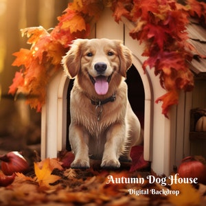 Beautiful Autumn Dog House Digital Backdrop Pet Autumn Wonderland ...