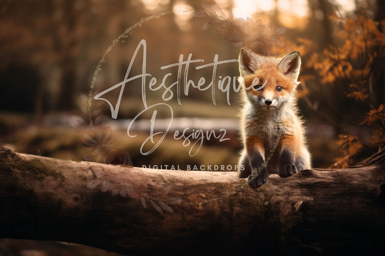 Forest Fox Digital Backdrop Cute Fox Digital Background Animal - Etsy