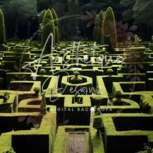 Maze Garden Digital Backdrop for Nature Composite Images Confusing ...