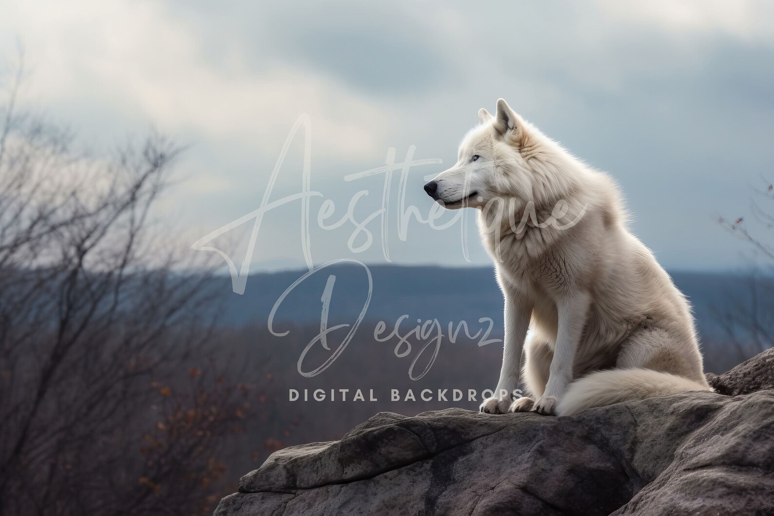 Giant White Wolf Digital Backdrop Huntress Photo Background - Etsy