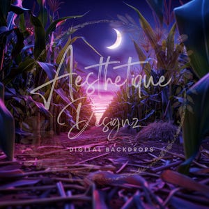 Moonlit Cornfields Digital Backdrop Creepy Tall Grass Digital ...