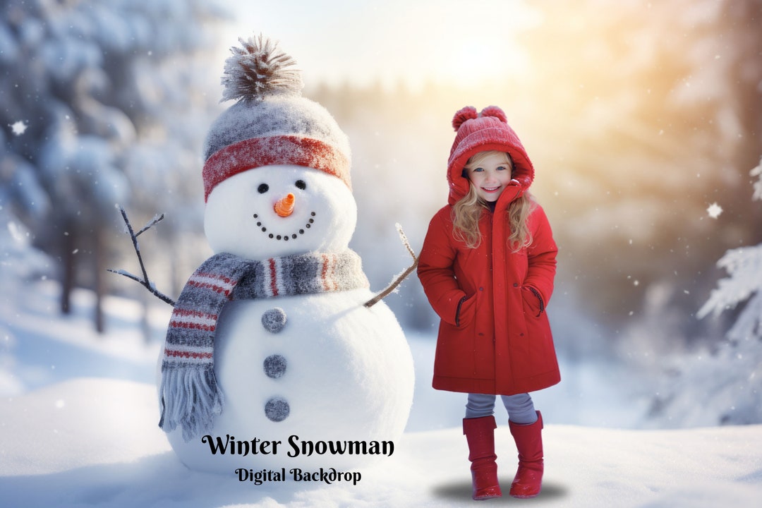 Winter Snowman Digital Backdrop Chilly Winter Background for Snowy ...