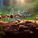 Ants Digital Backdrop Life of a Bug Photo Background for Giant Ants in ...