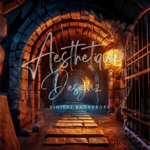 Stone Dungeon Prison Cell Digital Backdrop Stone Cell Digital ...