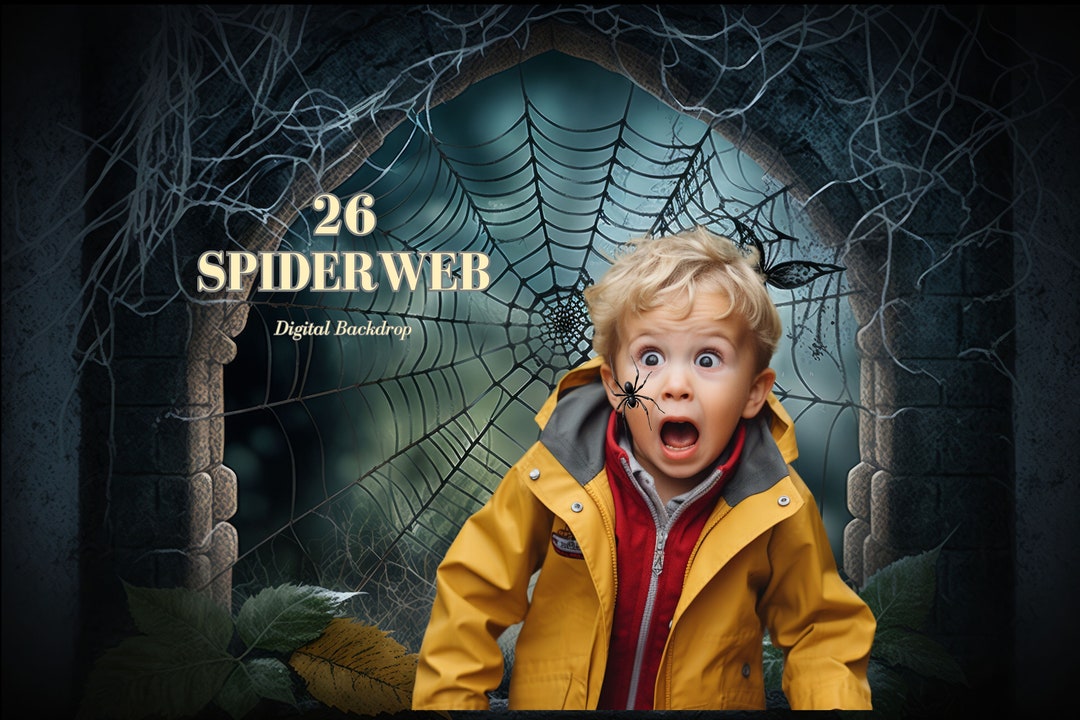 26 Spiderweb Digital Backdrop Halloween Spider Photography Backgrounds ...