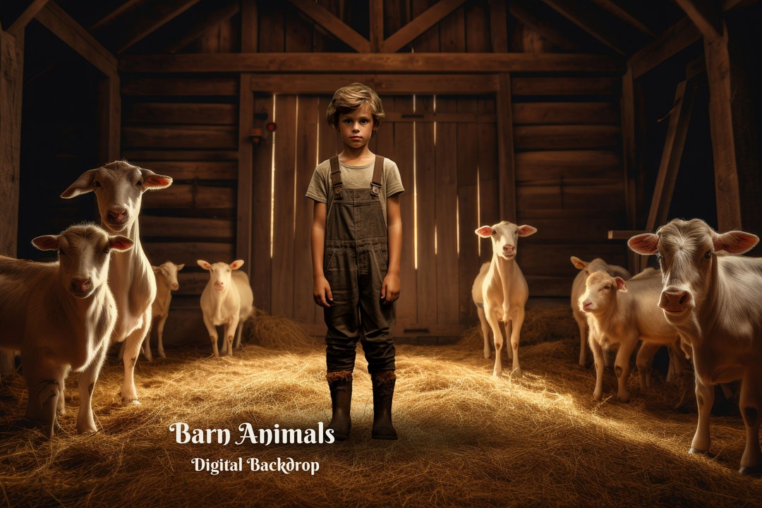 Barn Animals Digital Backdrop Hay Barn Background Stable Digital ...