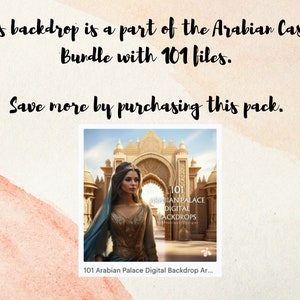 Arabian Castle Window Digital Backdrop Arabian Princess Photography ...