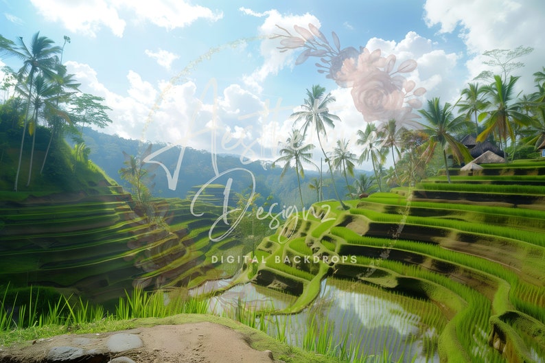 Rice Terraces Digital Backdrop Green Fields Photography Background for ...