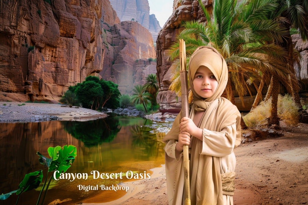 Canyon Desert Oasis Digital Backdrop Hot Desert Dunes Digital ...