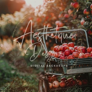 Harvesting Apples Digital Backdrop Apple Farm Garden Digital Background ...