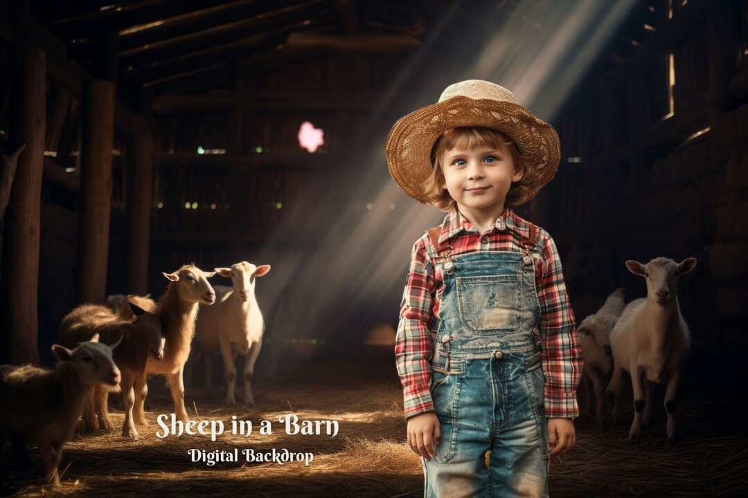 Sheep in a Barn Digital Backdrop Hay Barn Overlay Stable Digital ...