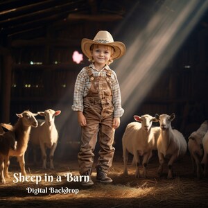 Sheep in a Barn Digital Backdrop Hay Barn Overlay Stable Digital ...