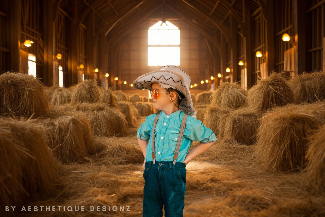 Inside the Barn Digital Backdrop Hay Barn Background Stable Digital ...