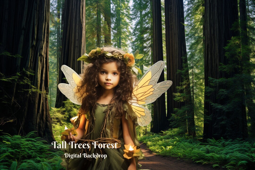 Giant Forest Trees Digital Backdrop Lush Forest Photo Background Tall ...
