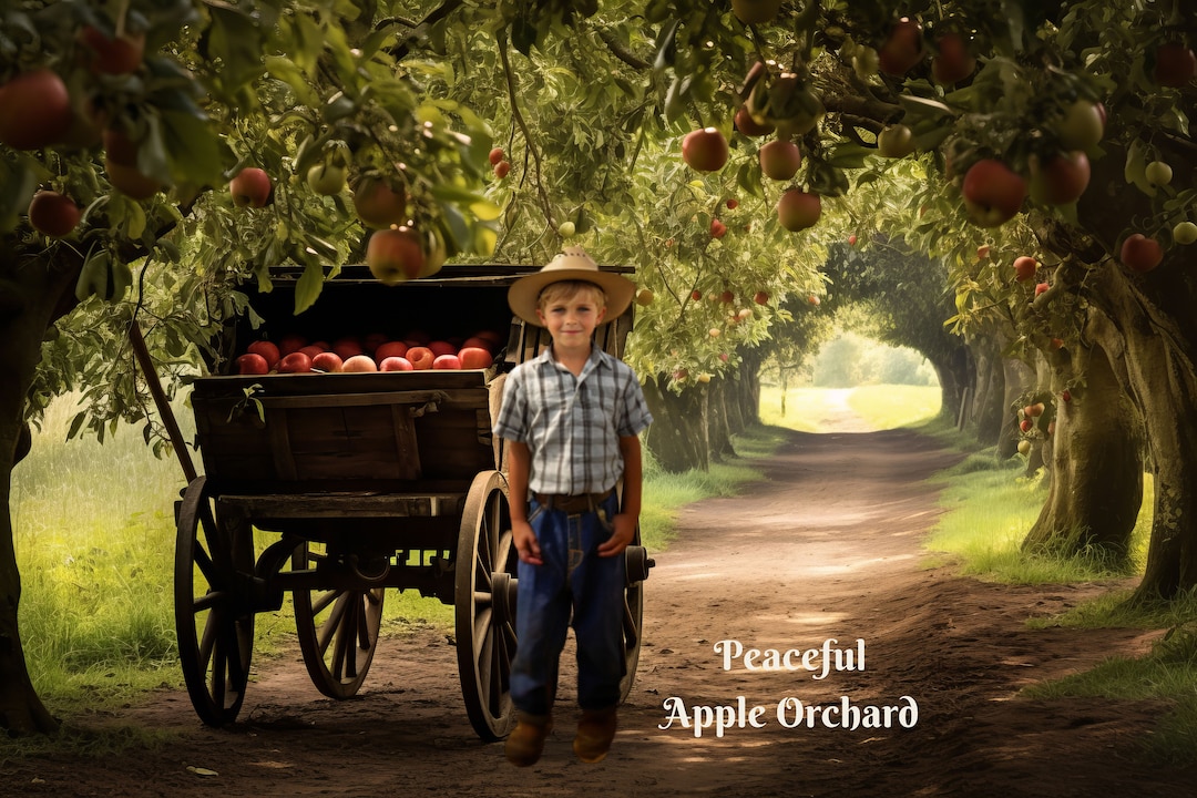 Peaceful Apple Orchard Digital Backdrop Farm Apple Cart Digital ...