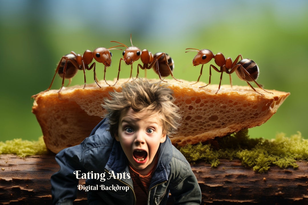 Eating Ants Digital Backdrop Life of a Bug Photo Background for Giant ...