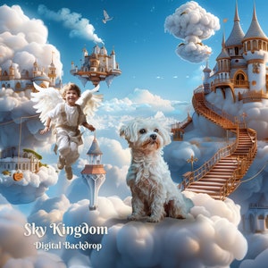 Sky Kingdom Digital Backdrop Floating Castle in the Sky Creative ...