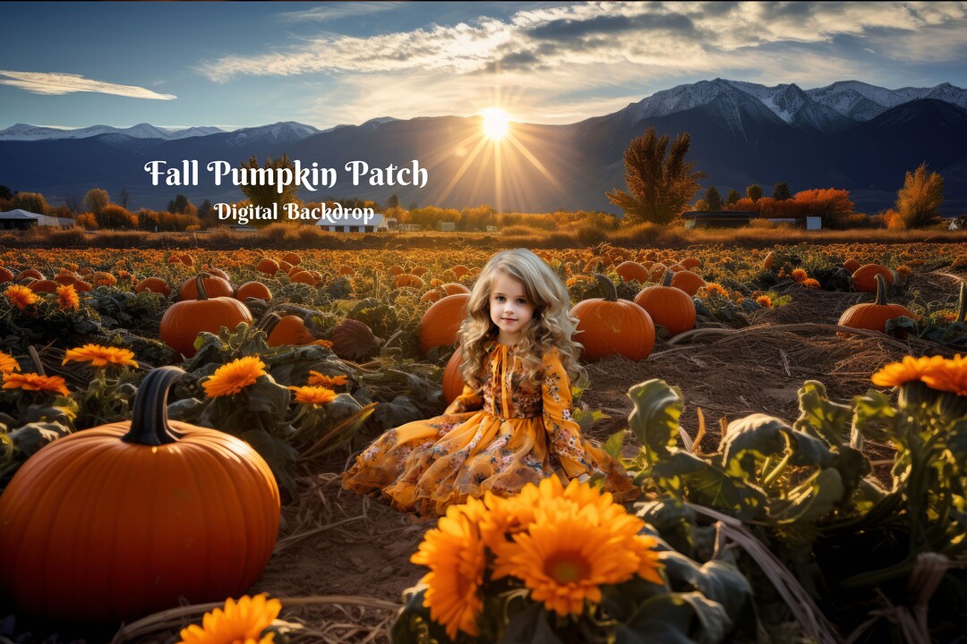 Fall Pumpkin Patch Digital Backdrop Autumn Pumpkin Farm Digital ...