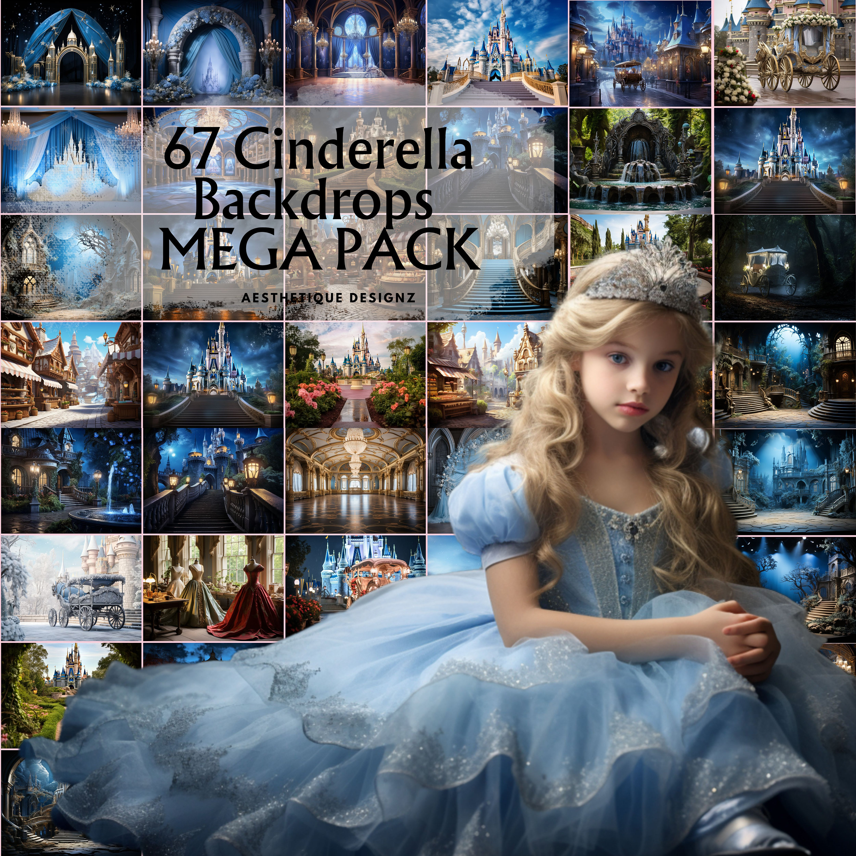 67 Cinderella Digital Backdrops for Fairy Tale Themed Photography ...
