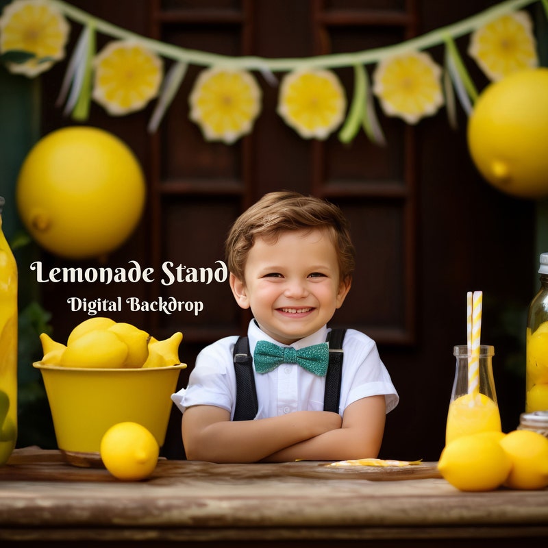 Lemonade Stand - Etsy