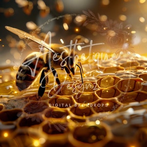 Beehive Construction Digital Backdrop Bee's Home Digital Background for ...
