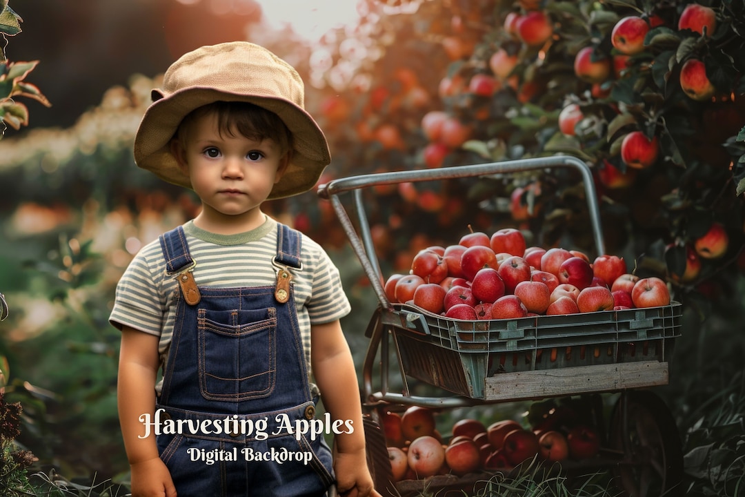 Harvesting Apples Digital Backdrop Apple Farm Garden Digital Background ...