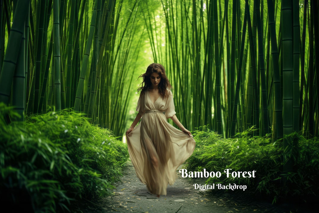 Bamboo Forest Digital Backdrop Nature Trail Photo Background Green ...