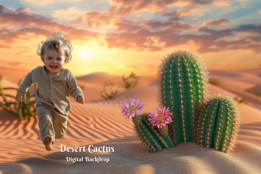 Cute Desert Cactus Digital Backdrop Hot Desert Dunes Digital Background ...