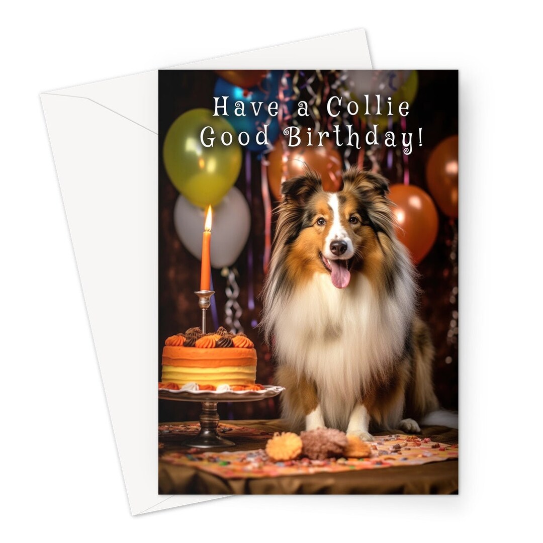 Collie Birthday Card Greeting Card With Border Collie Having a Birthday ...