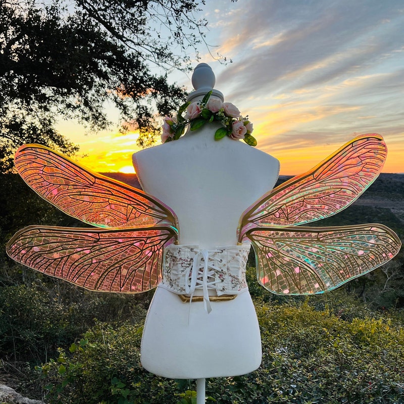 Fairy Wings Costume for Adults - Etsy