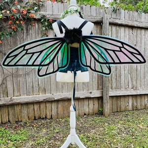 Bee Wings Extra Large With Straps Adult Cosplay Costume Insect Bug ...
