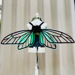 Bee Wings Extra Large With Straps Adult Cosplay Costume Insect Bug ...