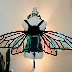 Bumble Bee Wings Costume Adult - Etsy