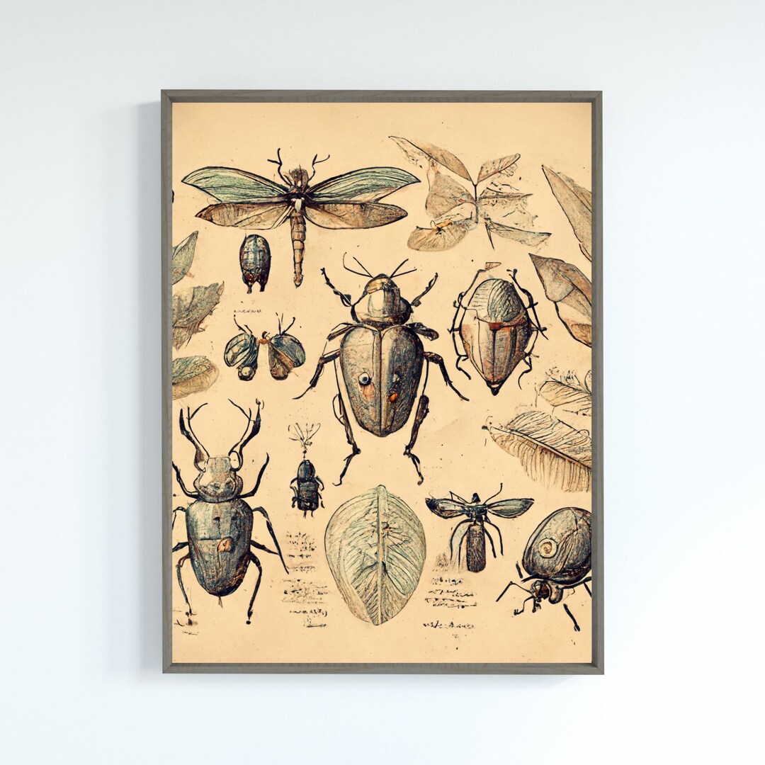 Bug Collection Poster Digital Print - Etsy