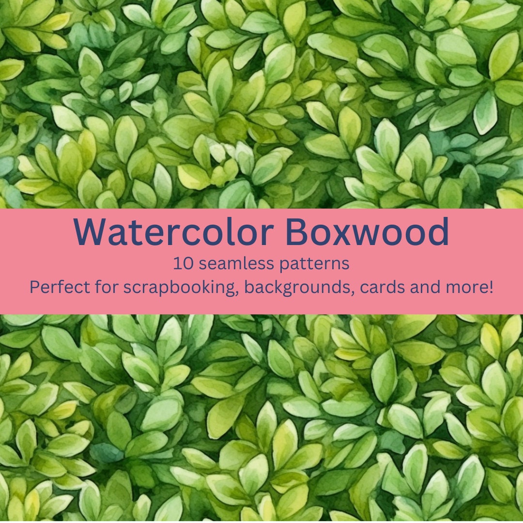 10 Lush Digital Seamless Watercolor Boxwood Patterns: Designs for DIY ...