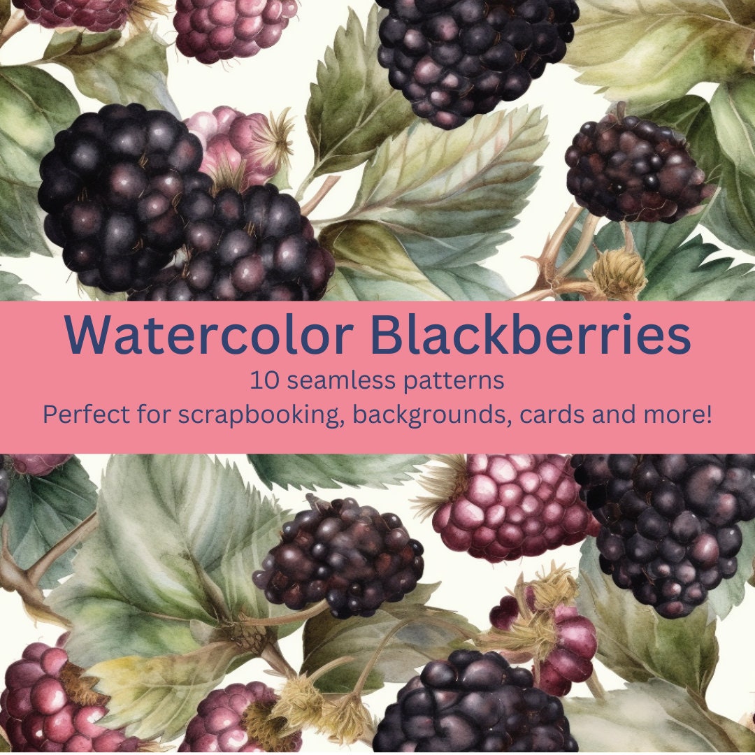 10 Vibrant Digital Seamless Watercolor Blackberry Patterns: Perfect for ...