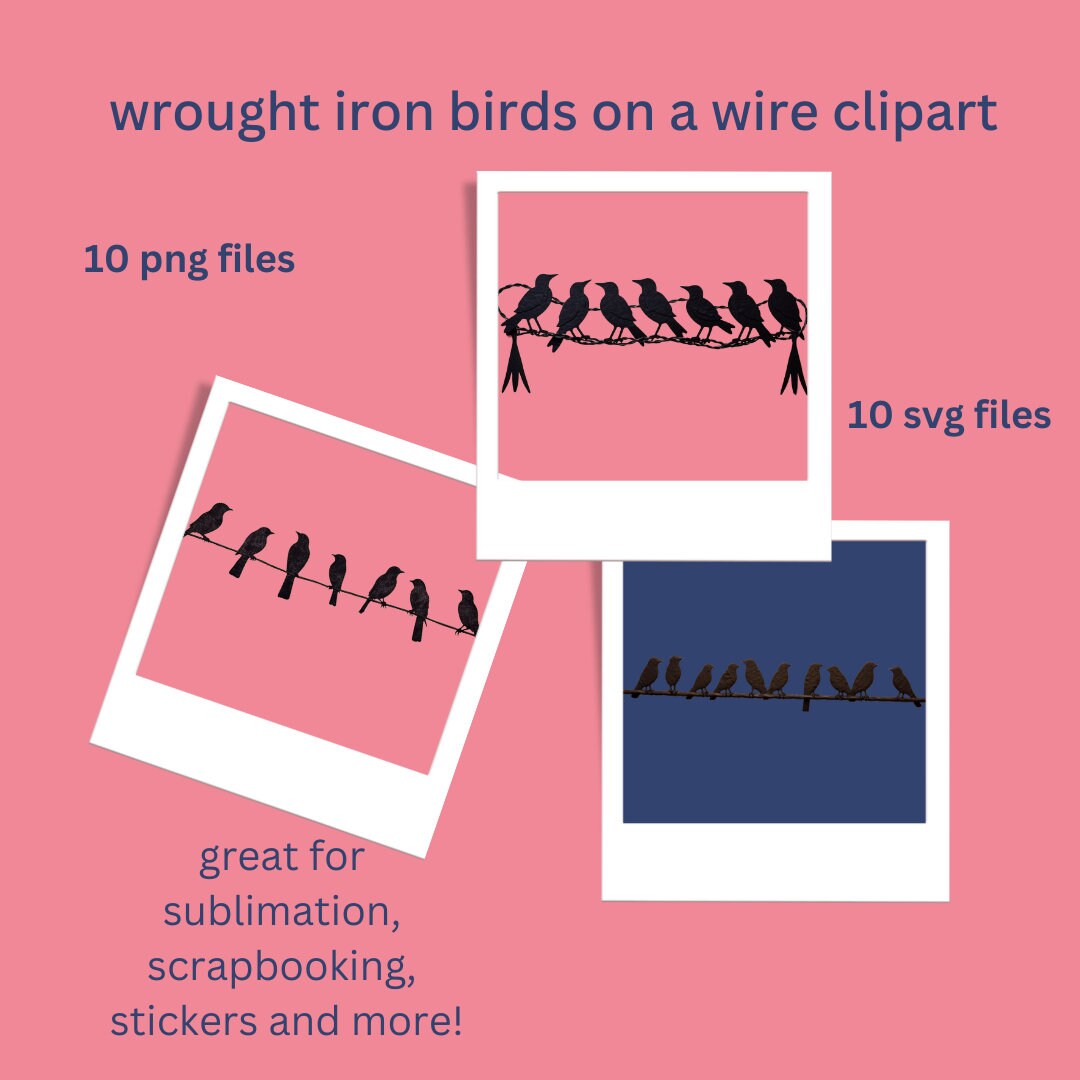 Wrought Iron Birds on a Wire Clipart Bundle - 10 PNG & SVG Files for ...